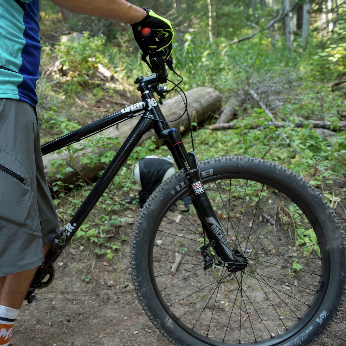 Charge Bikes Cooker 4 Complete Mountain Bike - 2016 - Bikes