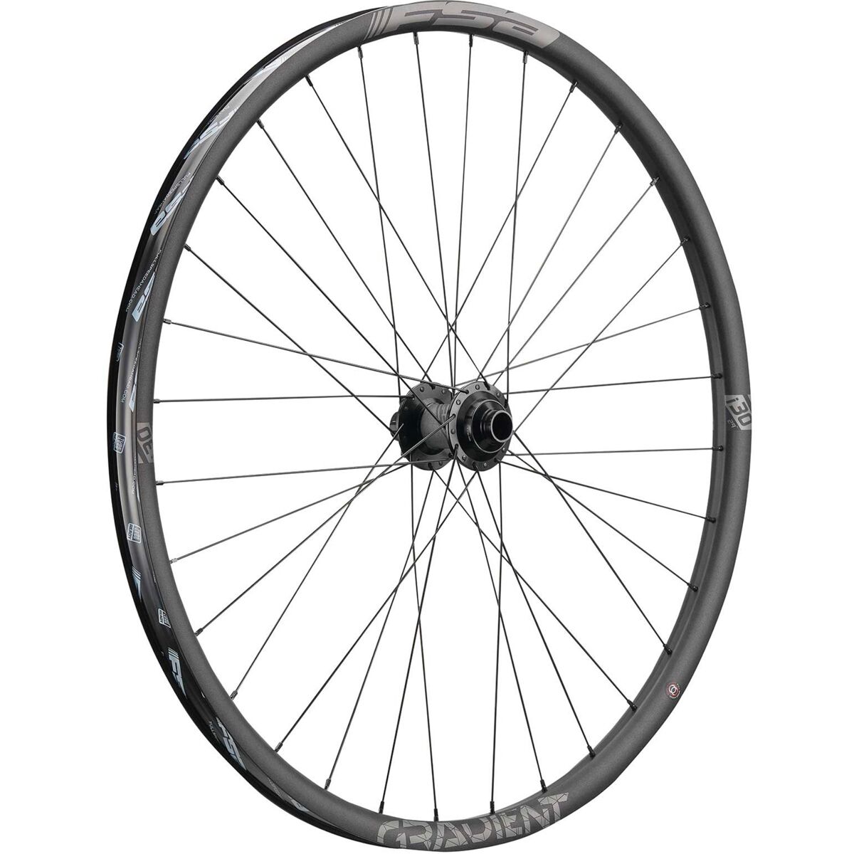 FSA Gradient DH i30 29in Boost Wheelset - Components