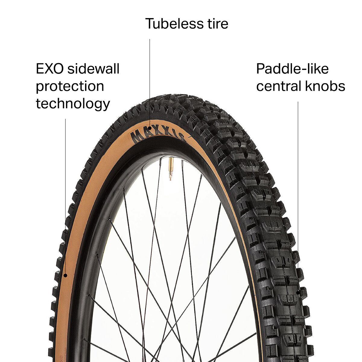 Maxxis Minion DHR II Wide Trail Dual Compound EXO/TR 29in Tire - Components