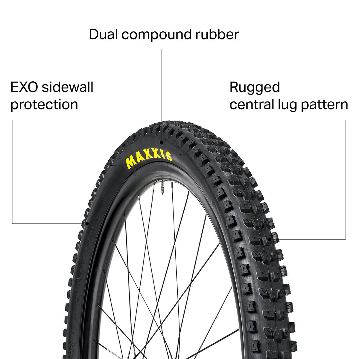 Maxxis Dissector Wide Trail Dual Compound EXO/TR 29in Tire - Components