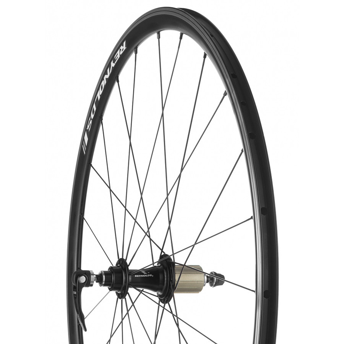 Reynolds Solitude - Components