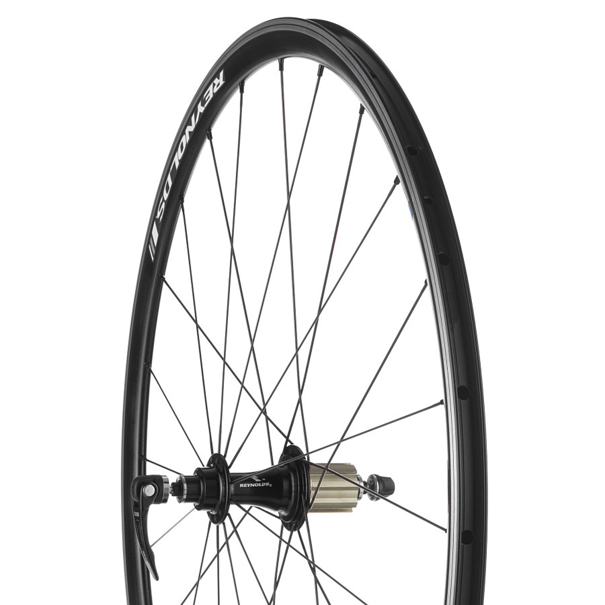 Reynolds Solitude - Components