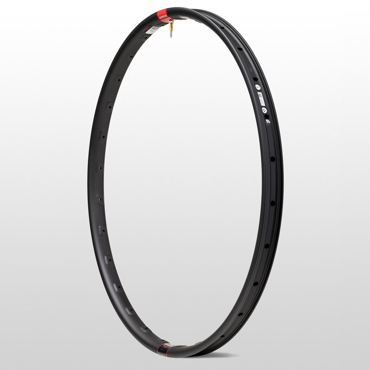 Reserve 30 SL 29in Carbon Rim - Components