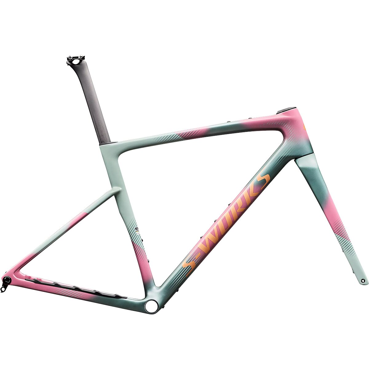 | Competitive Cyclist