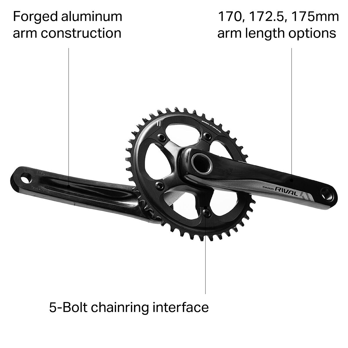 SRAM Rival 1 GXP Crankset - Components
